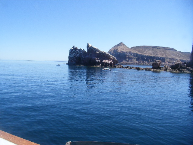 Tour #4 Los Islotes - Bajawhale.com